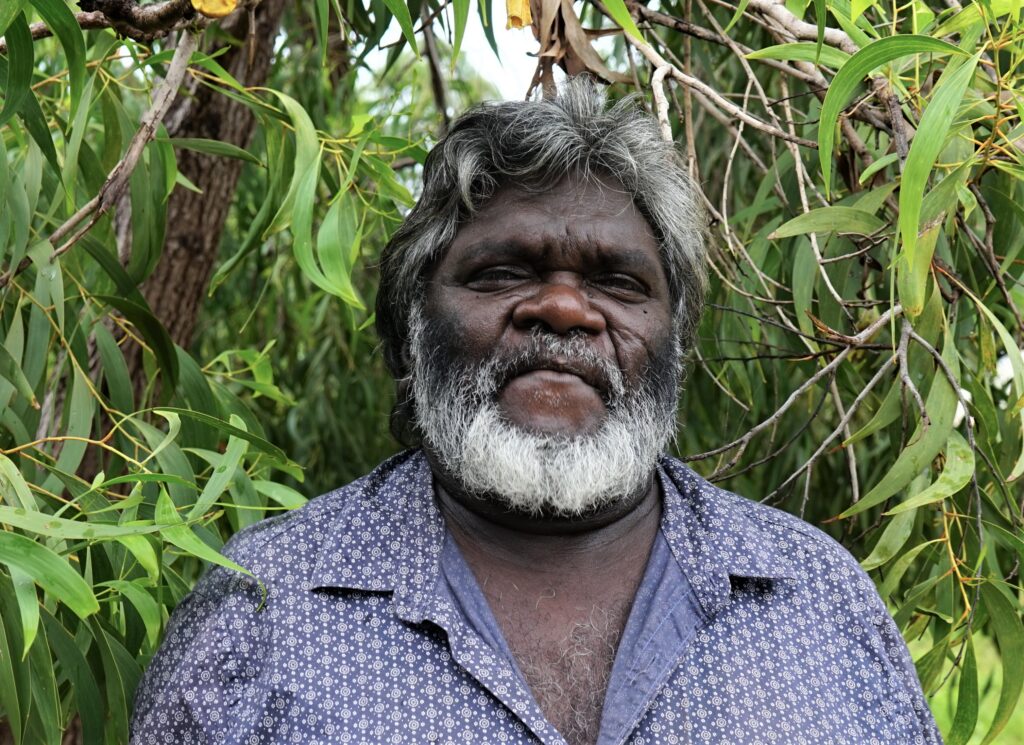 David Dhamarrandji - Elcho Island Arts